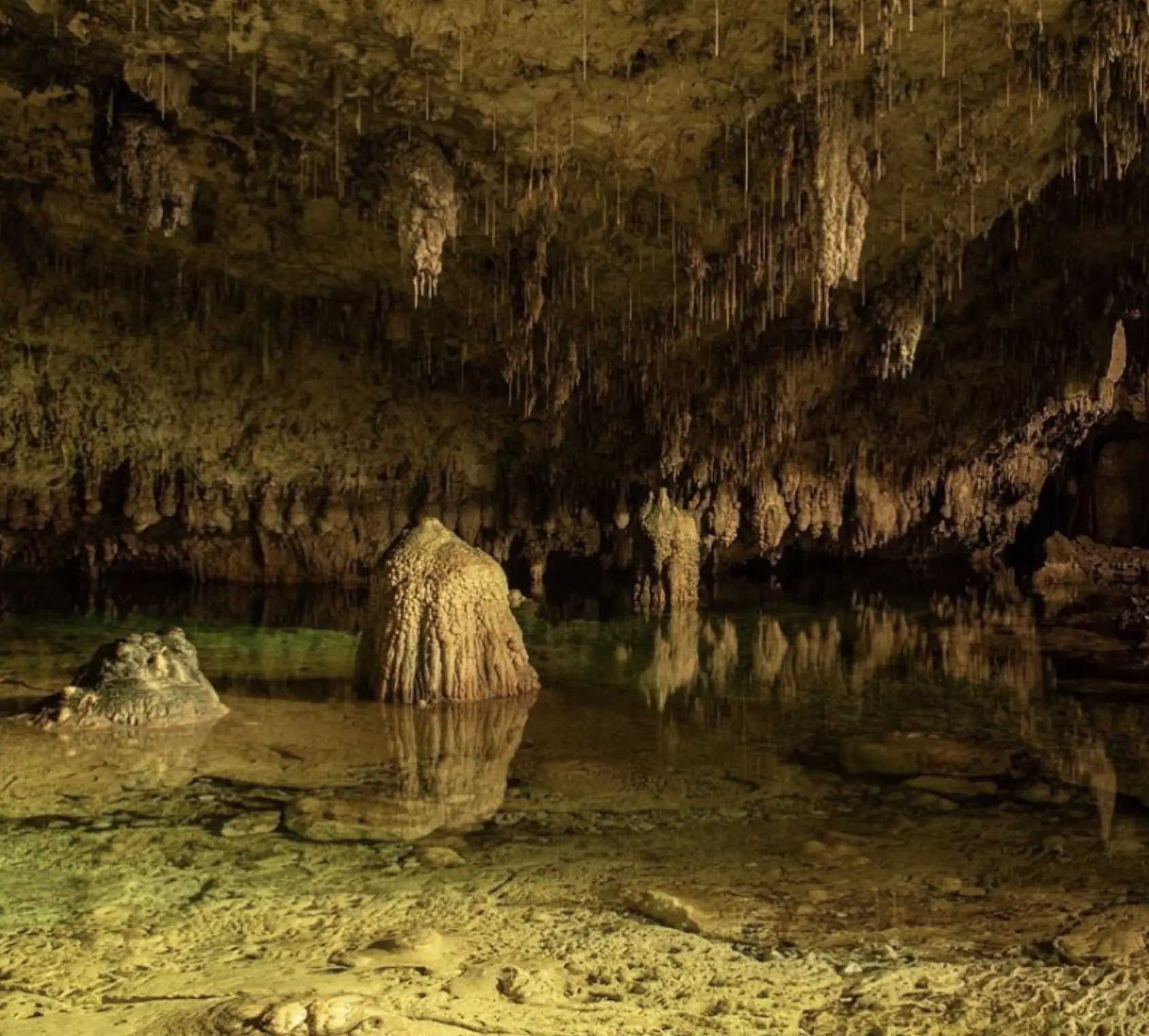 Makatea Island: The Complete Travel Guide (With Map)!