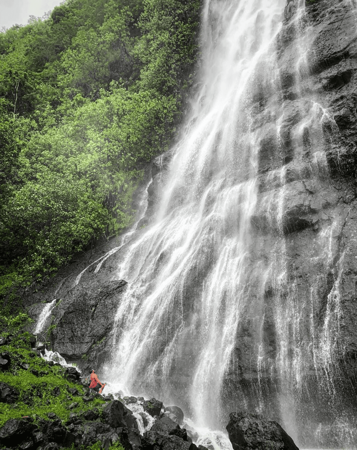 Moorea Hiking: Top 10 Trails To Do When Hiking In Moorea!