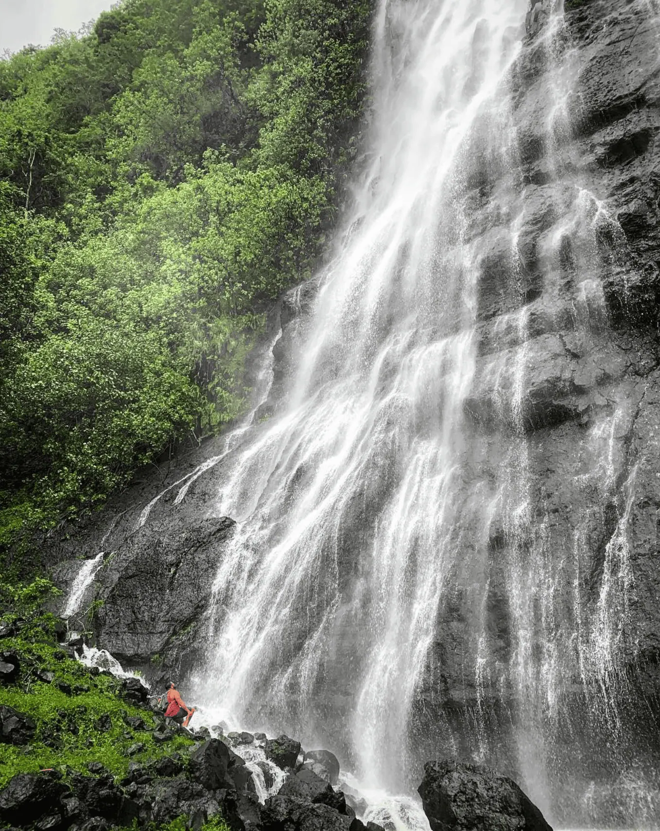 Moorea Hiking: Top 10 Trails To Do When Hiking In Moorea!