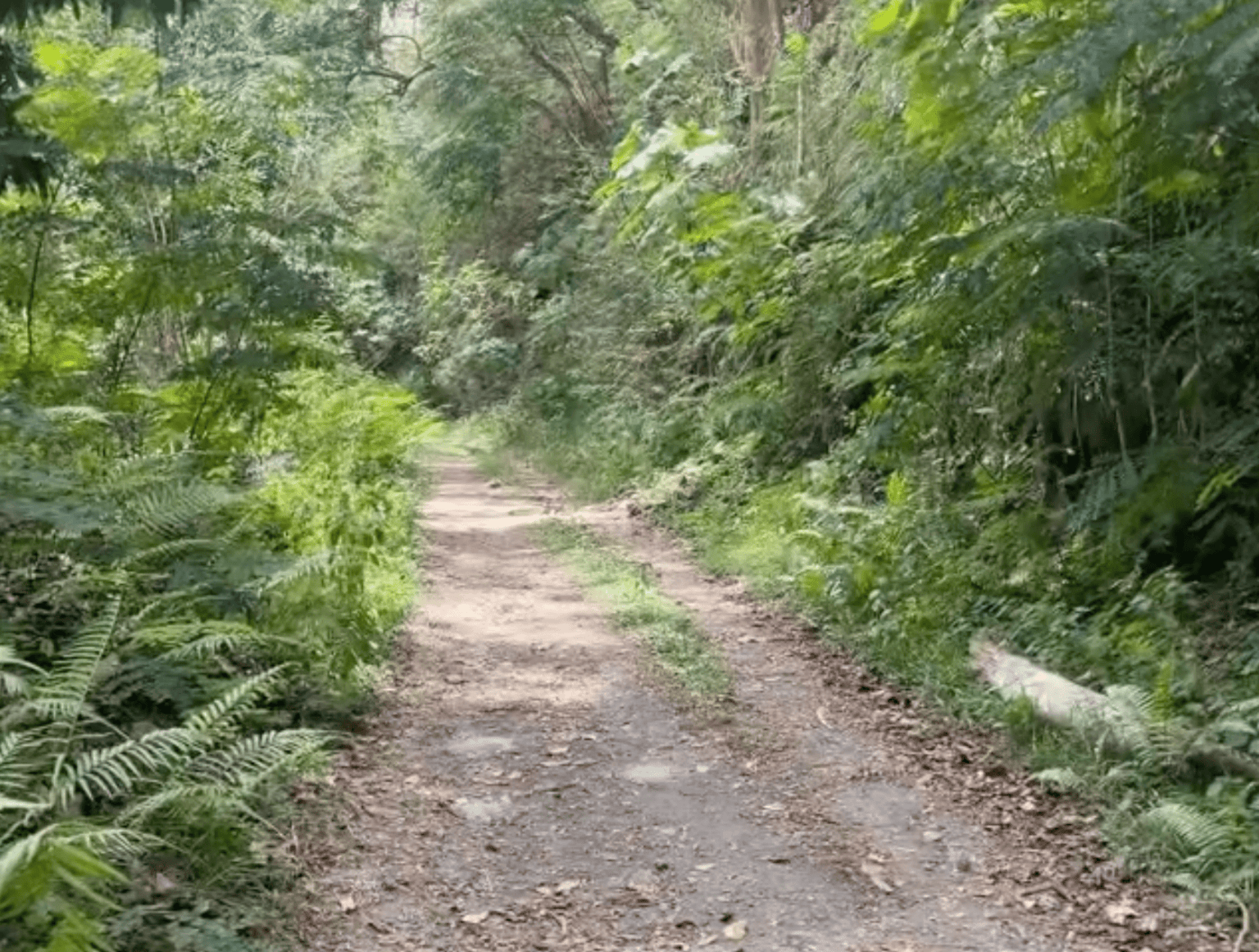 Hiking In Tahiti: What Are The Best Trails For 2025?