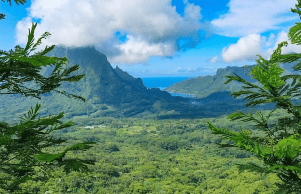 Moorea Hiking: Top 10 Trails To Do When Hiking In Moorea!