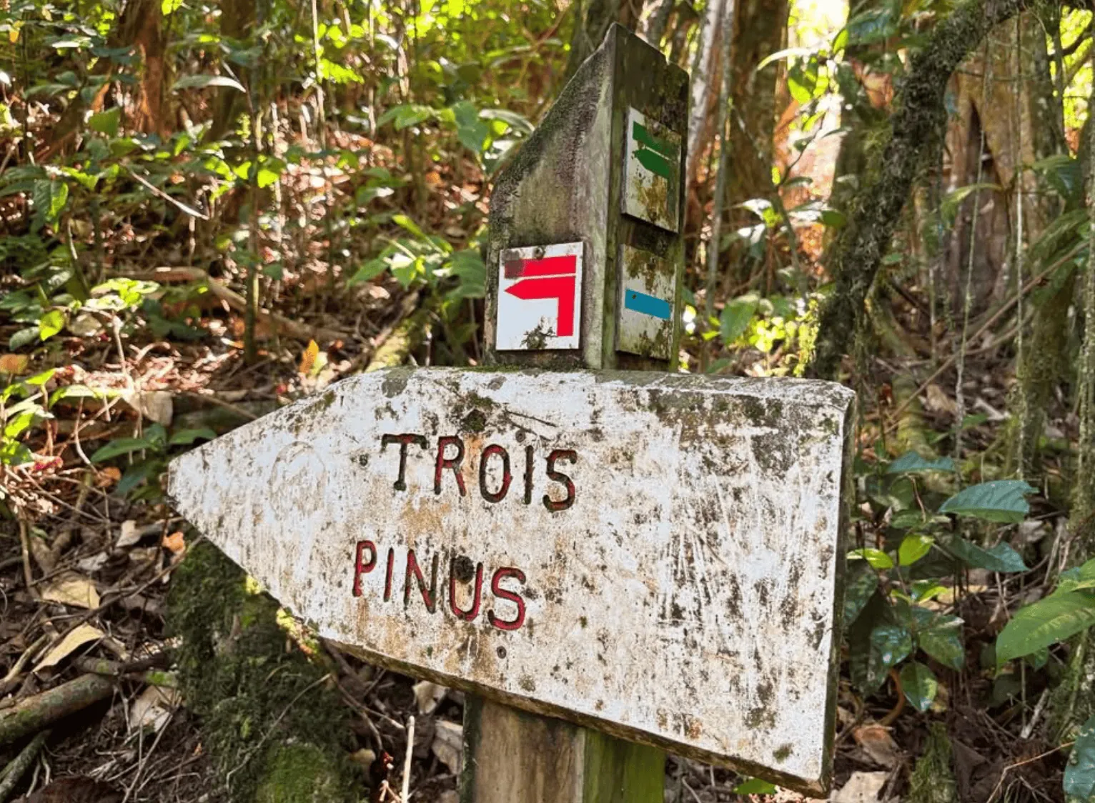 Moorea Hiking: Top 10 Trails To Do When Hiking In Moorea!