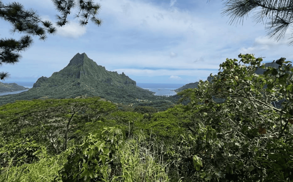 Moorea Hiking: Top 10 Trails To Do When Hiking In Moorea!