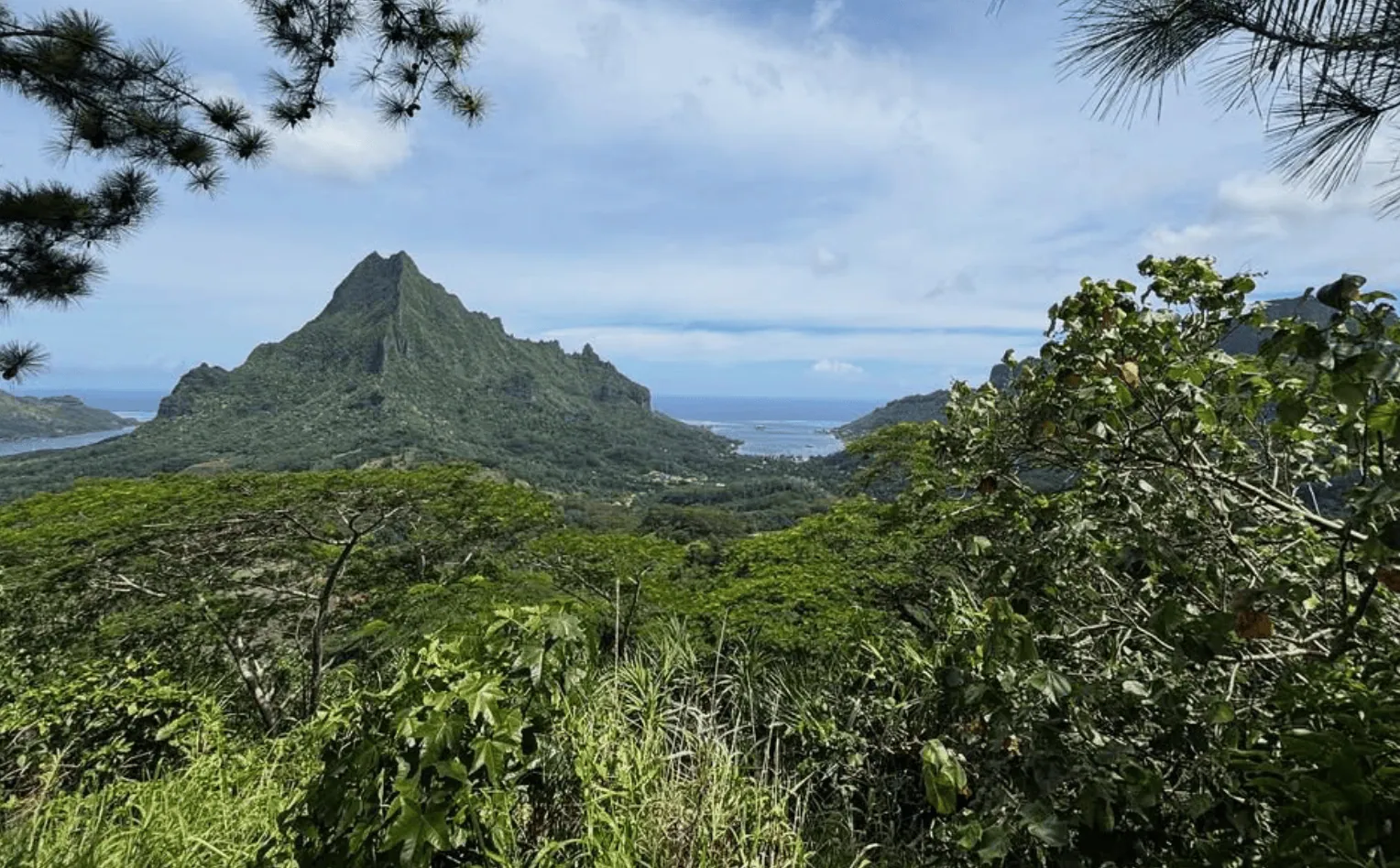 Moorea Hiking: Top 10 Trails To Do When Hiking In Moorea!