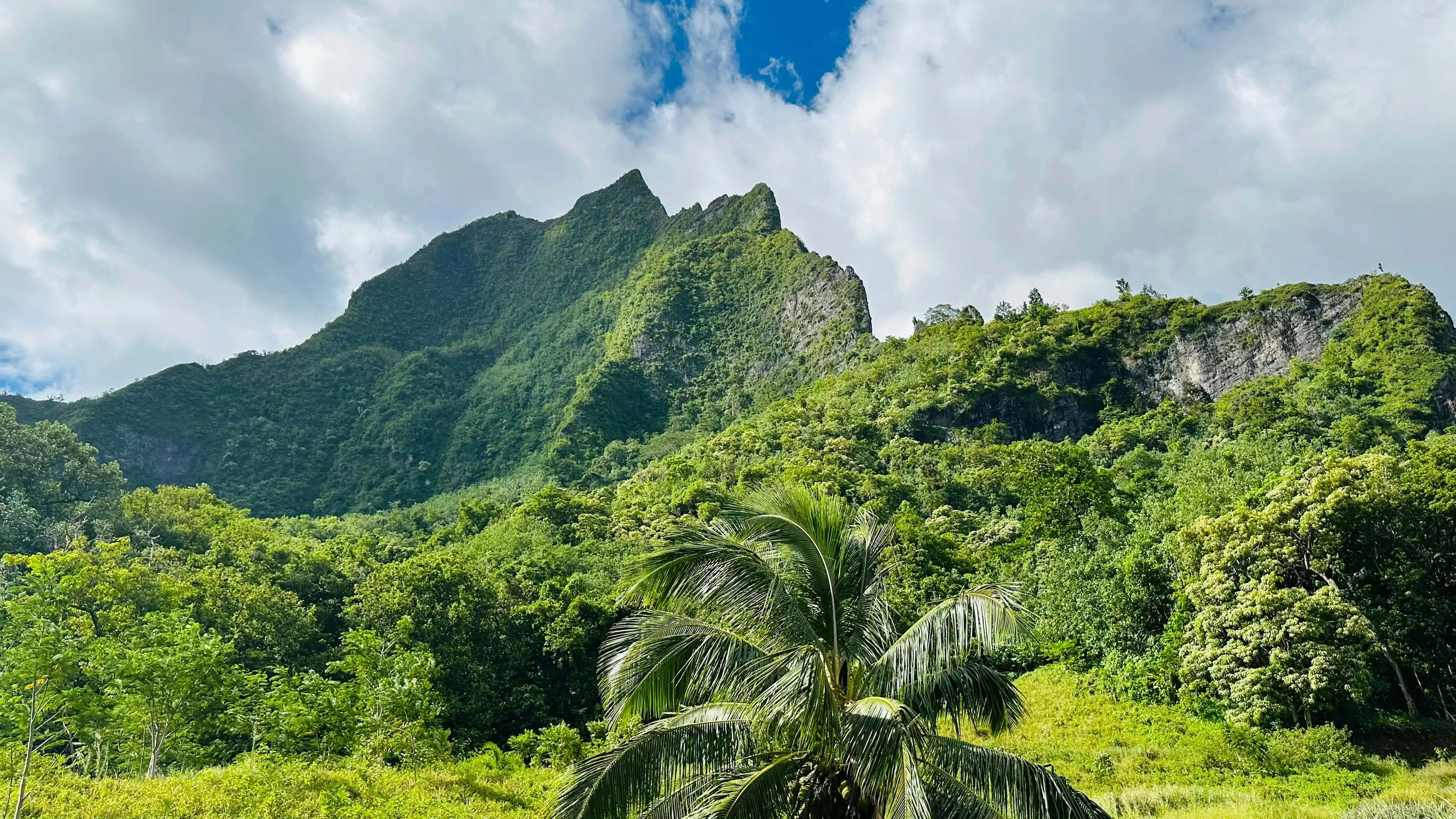 Moorea Hiking: Top 10 Trails To Do When Hiking In Moorea!