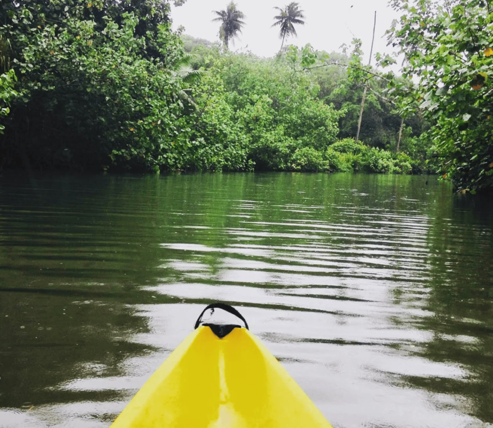 What To Do In Raiatea Island: 14 Activities!